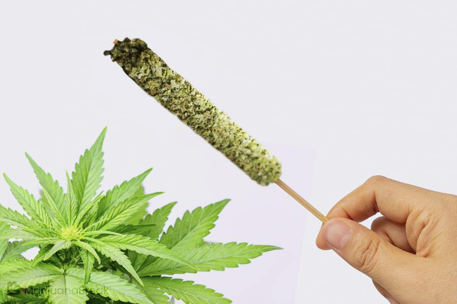 What is a Cannabis Thai Stick? What is a Cannabis Thai Stick?